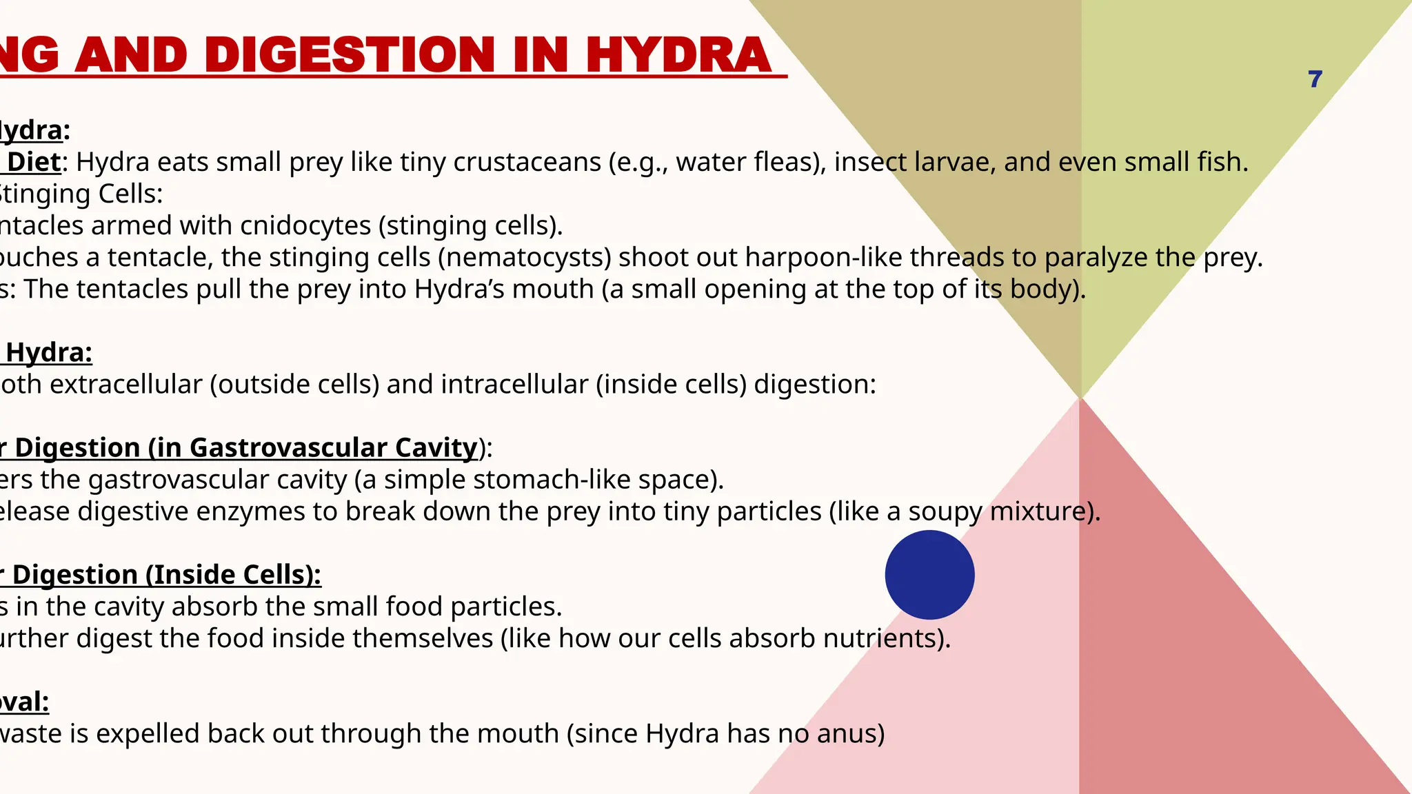 Larvae zoology msc ppt..................... | PPTX