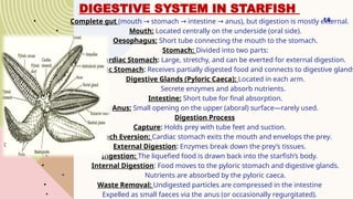 Larvae zoology msc ppt..................... | PPTX