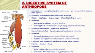 Larvae zoology msc ppt..................... | PPTX