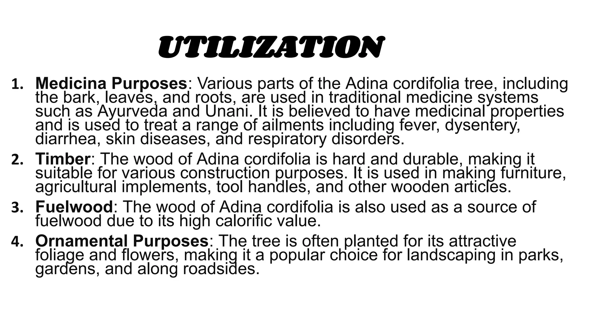 Adina cordifolia ppt for education purpose | PDF