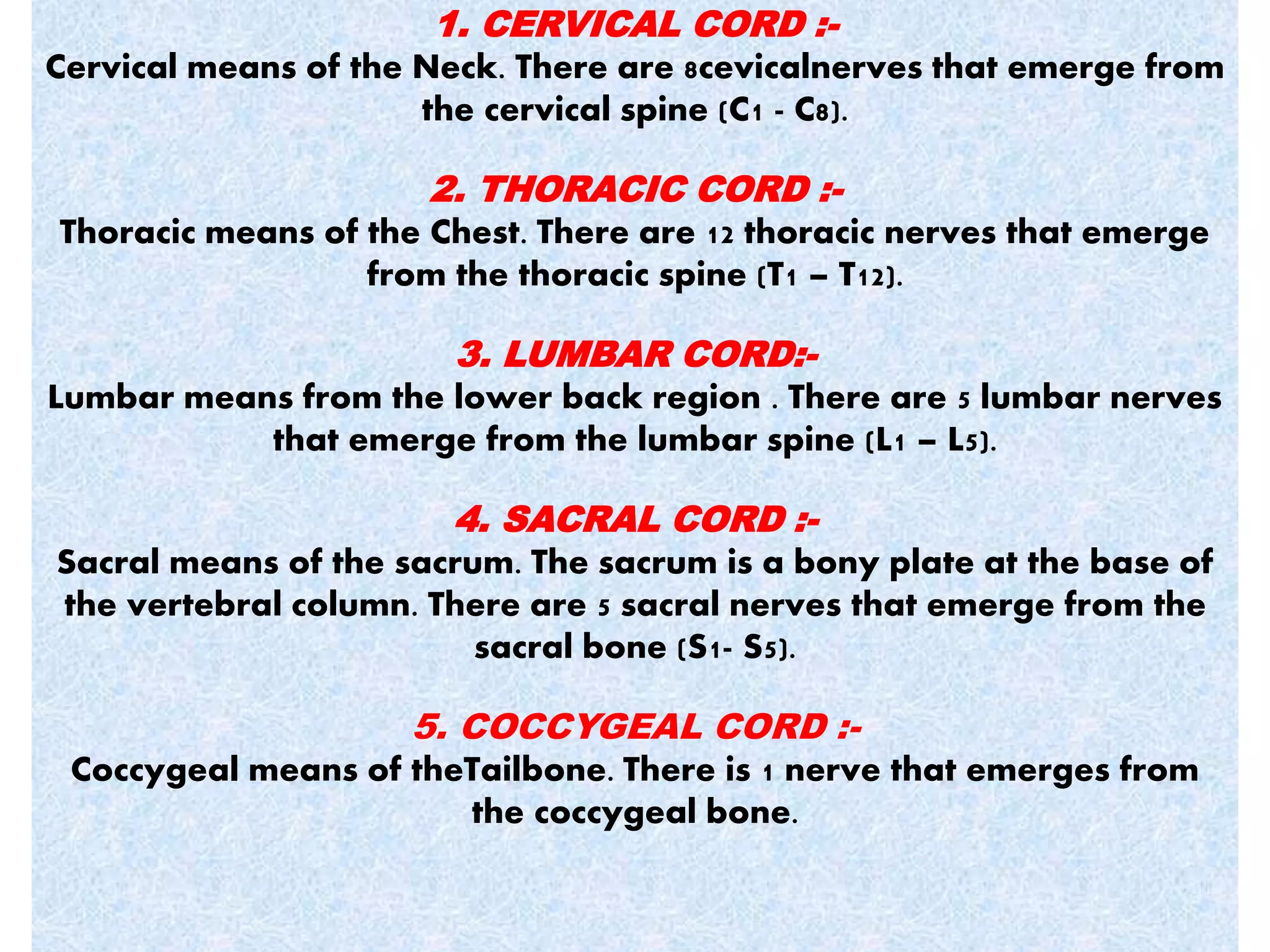 spinal cord injury ppt | PPTX