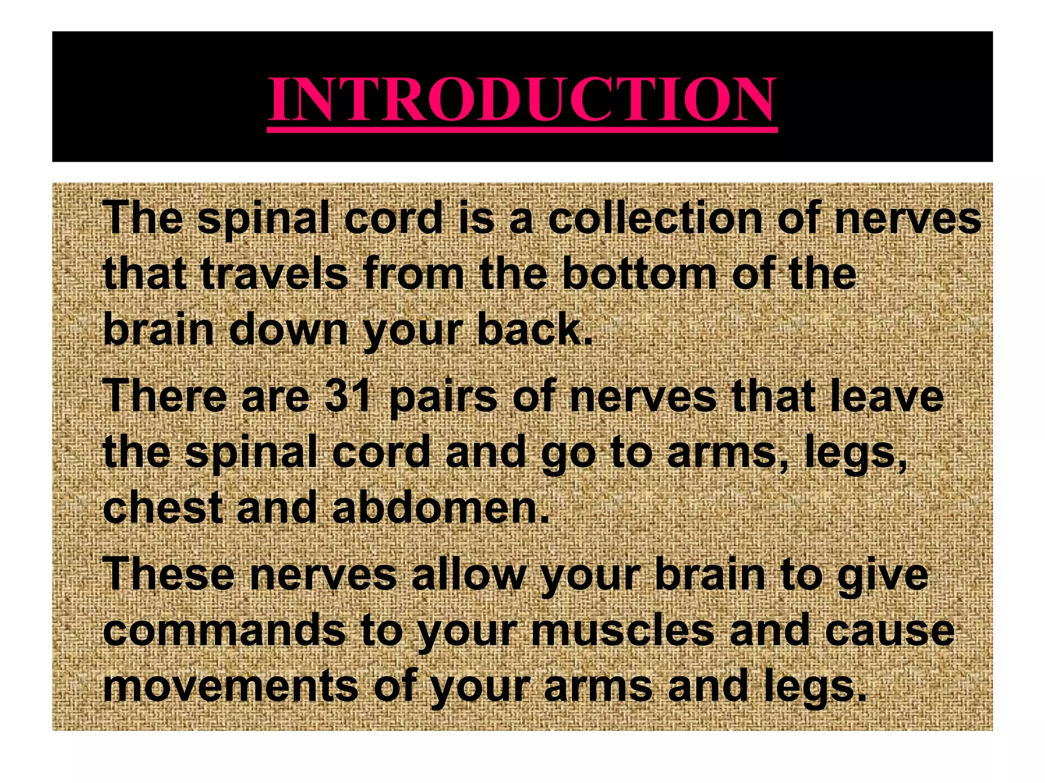spinal cord injury ppt | PPTX