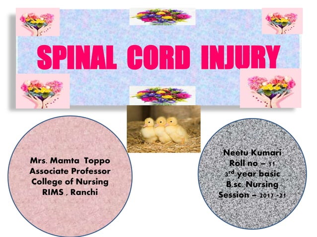 spinal cord injury ppt | PPTX | Death, Injury, or Military Conflict | Sensitive Topics