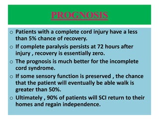 spinal cord injury ppt | PPTX