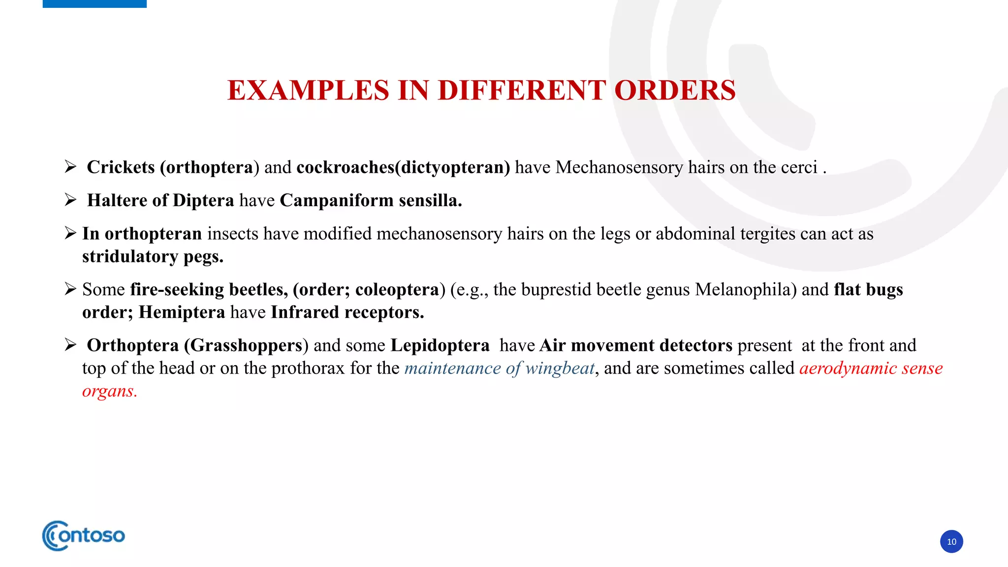 Insect sense ORGANS (MECHANO-, PHOTO- AND CHEMO- RECEPTORS): IT’S ...