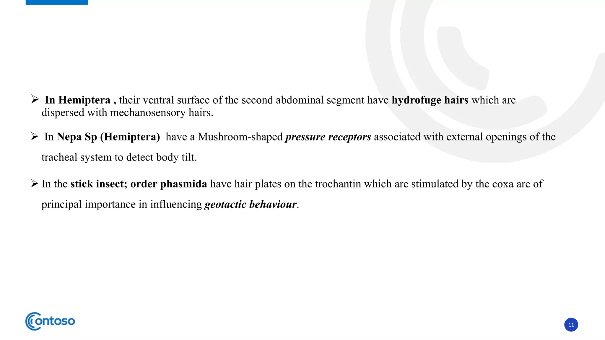 Insect sense ORGANS (MECHANO-, PHOTO- AND CHEMO- RECEPTORS): IT’S ...
