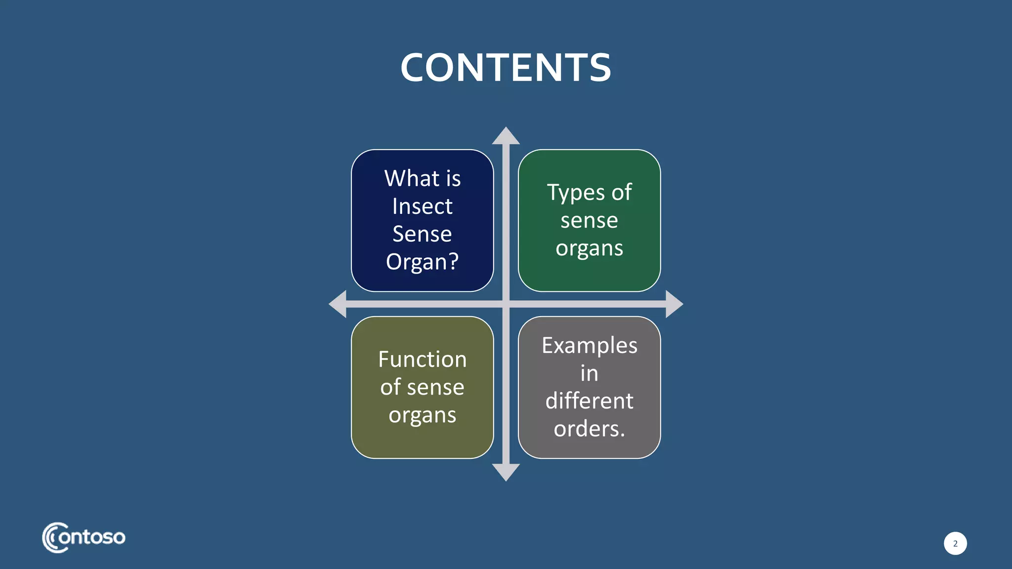 Insect sense ORGANS (MECHANO-, PHOTO- AND CHEMO- RECEPTORS): IT’S ...