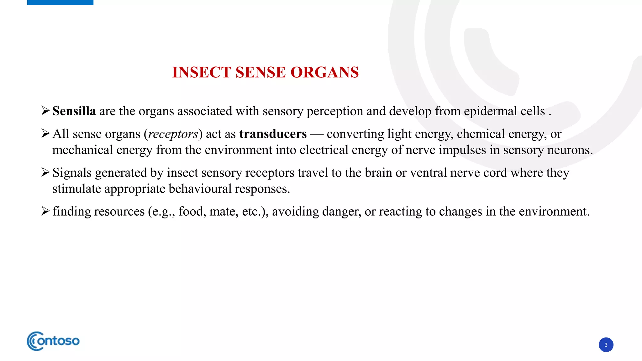 Insect sense ORGANS (MECHANO-, PHOTO- AND CHEMO- RECEPTORS): IT’S ...