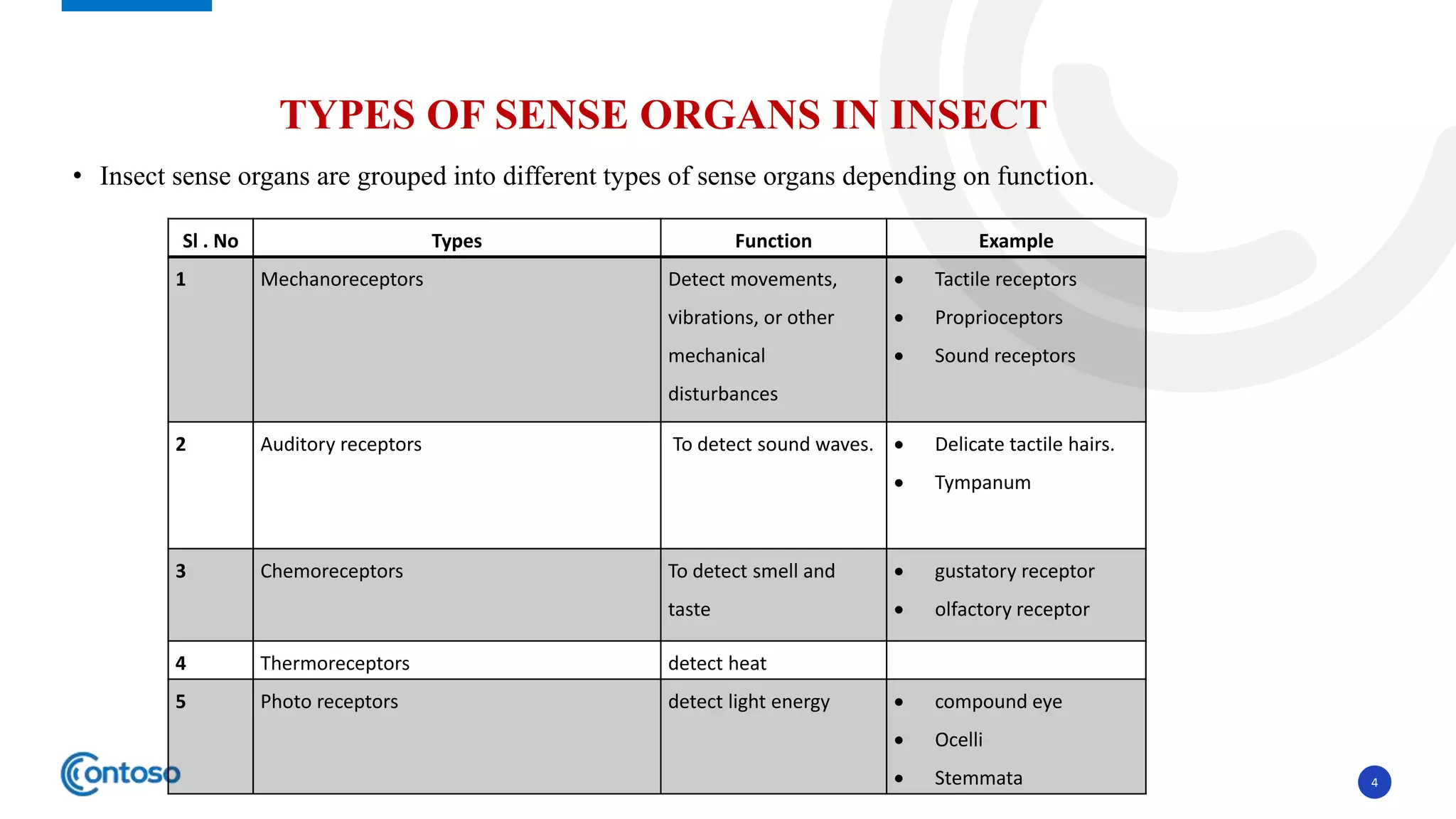 Insect sense ORGANS (MECHANO-, PHOTO- AND CHEMO- RECEPTORS): IT’S ...