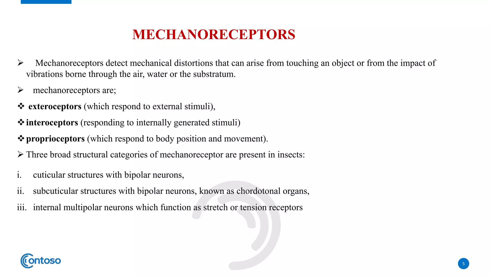 Insect sense ORGANS (MECHANO-, PHOTO- AND CHEMO- RECEPTORS): IT’S ...