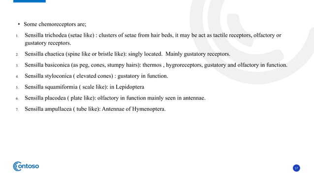 Insect sense ORGANS (MECHANO-, PHOTO- AND CHEMO- RECEPTORS): IT’S ...