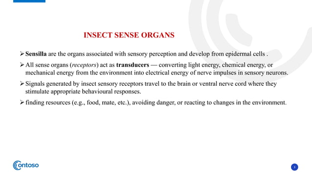 Insect sense ORGANS (MECHANO-, PHOTO- AND CHEMO- RECEPTORS): IT’S ...