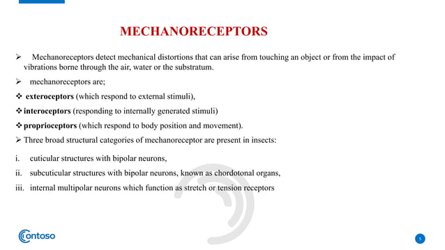 Insect sense ORGANS (MECHANO-, PHOTO- AND CHEMO- RECEPTORS): IT’S ...