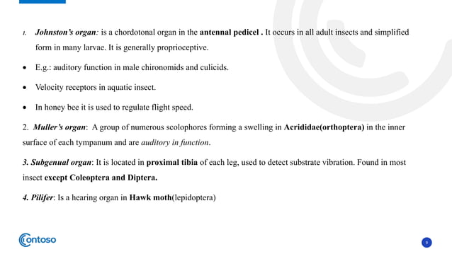 Insect sense ORGANS (MECHANO-, PHOTO- AND CHEMO- RECEPTORS): IT’S ...
