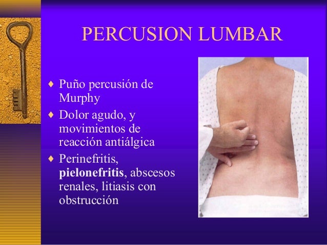 Semiología Nefro - urológica