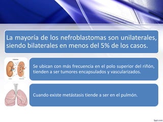Nefroblastoma | PPTX