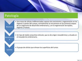Nefroblastoma | PPTX