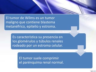 Nefroblastoma | PPTX