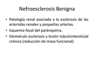 Nefroesclerosis | PPTX