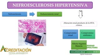 Nefroesclerosis hipertensiva | PPTX