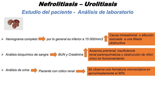 Nefrolitiasis Urolitiasis Ppt