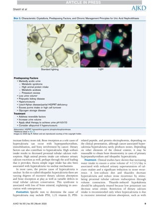 Nefrolitiasis Core 2023 (1).pdf