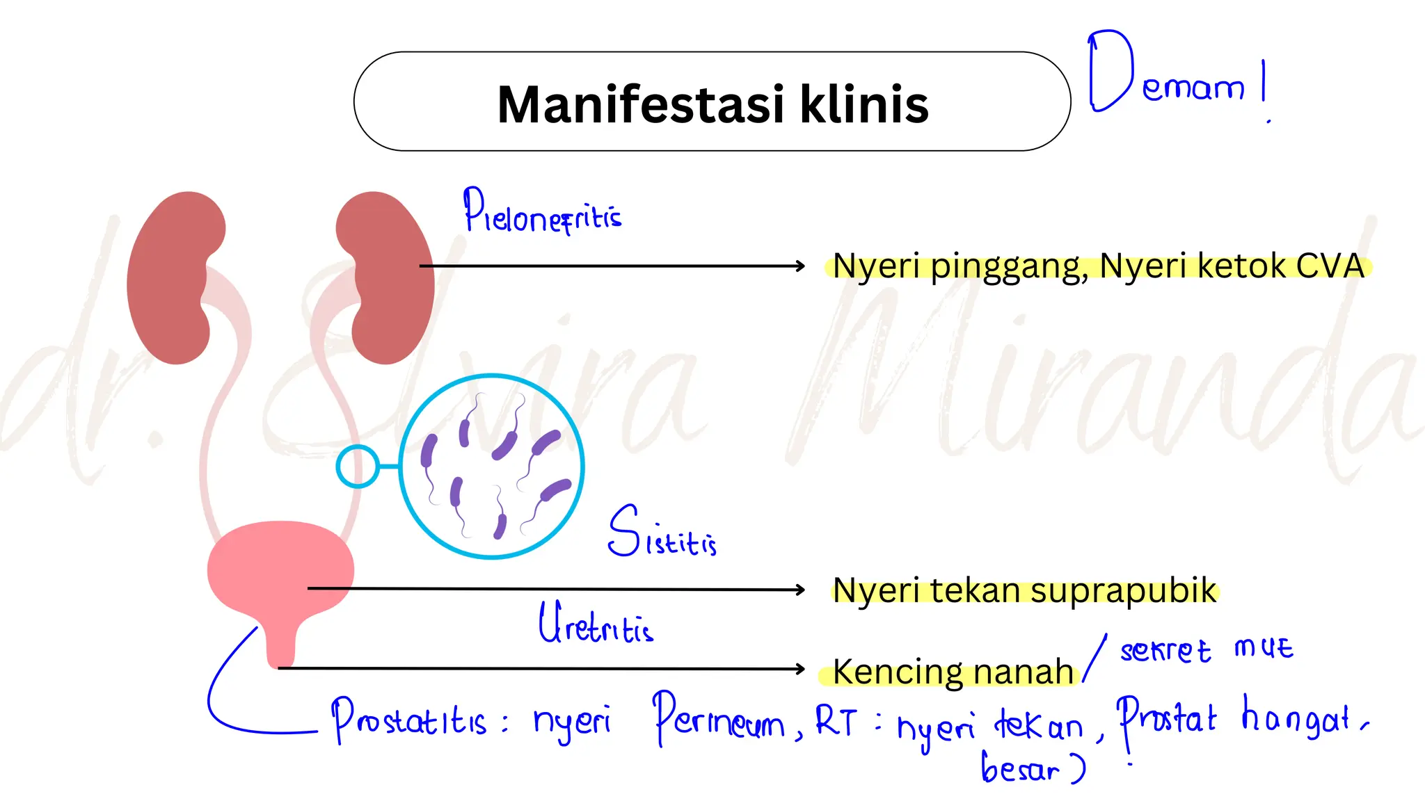 Nefrologi Hipertensi_FreeClass Doctor.tobe.pdf