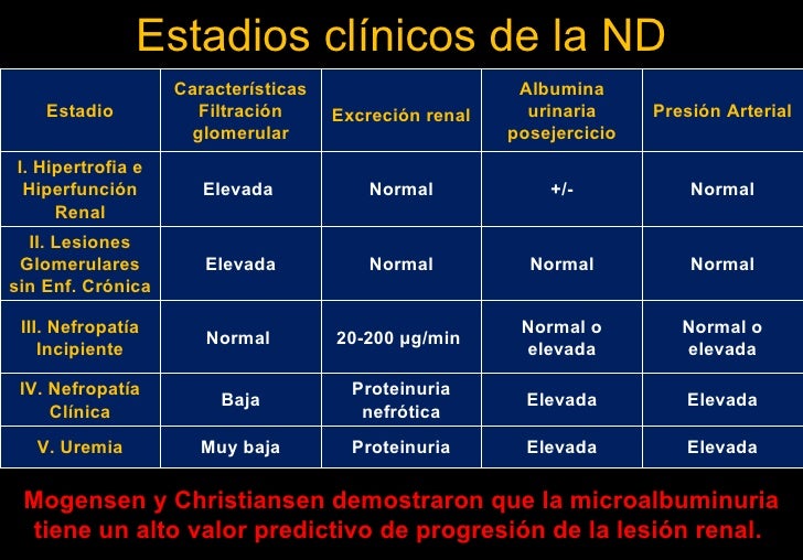 Nefropatia Diabetica At Emaze Presentation