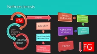 Nefropatia hipertensiva, nefroesclerosis | PPSX