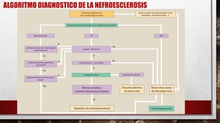 nefropatia hipertensiva pacientes con enfermedad renal cronica .pptx