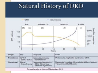 Nefropati diabetik -sony | PPTX