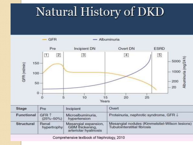 Nefropati diabetik -sony | PPTX