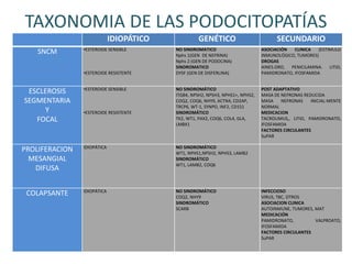 Nefropatologia | PPTX