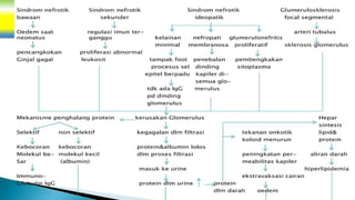 NEFROTIK SINDROME.pptx