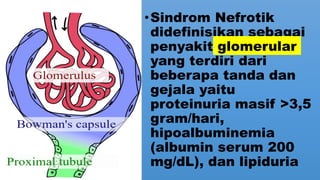 NEFROTIK SINDROME.pptx