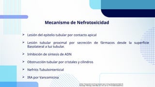 nefrotoxicidad Daño de medicamentos ….. | PPTX