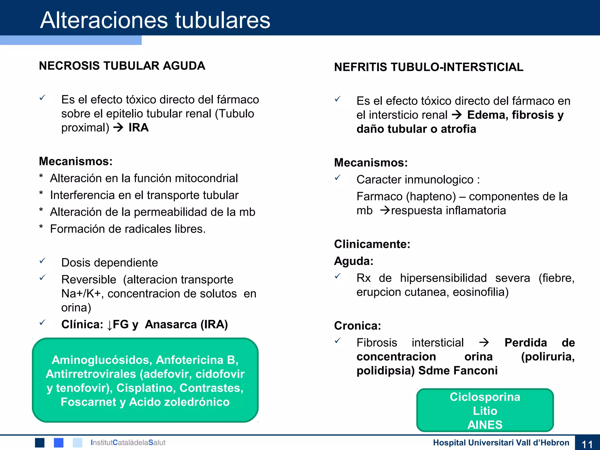 Nefrotoxicidad inducida por medicamentos (1) | PPT