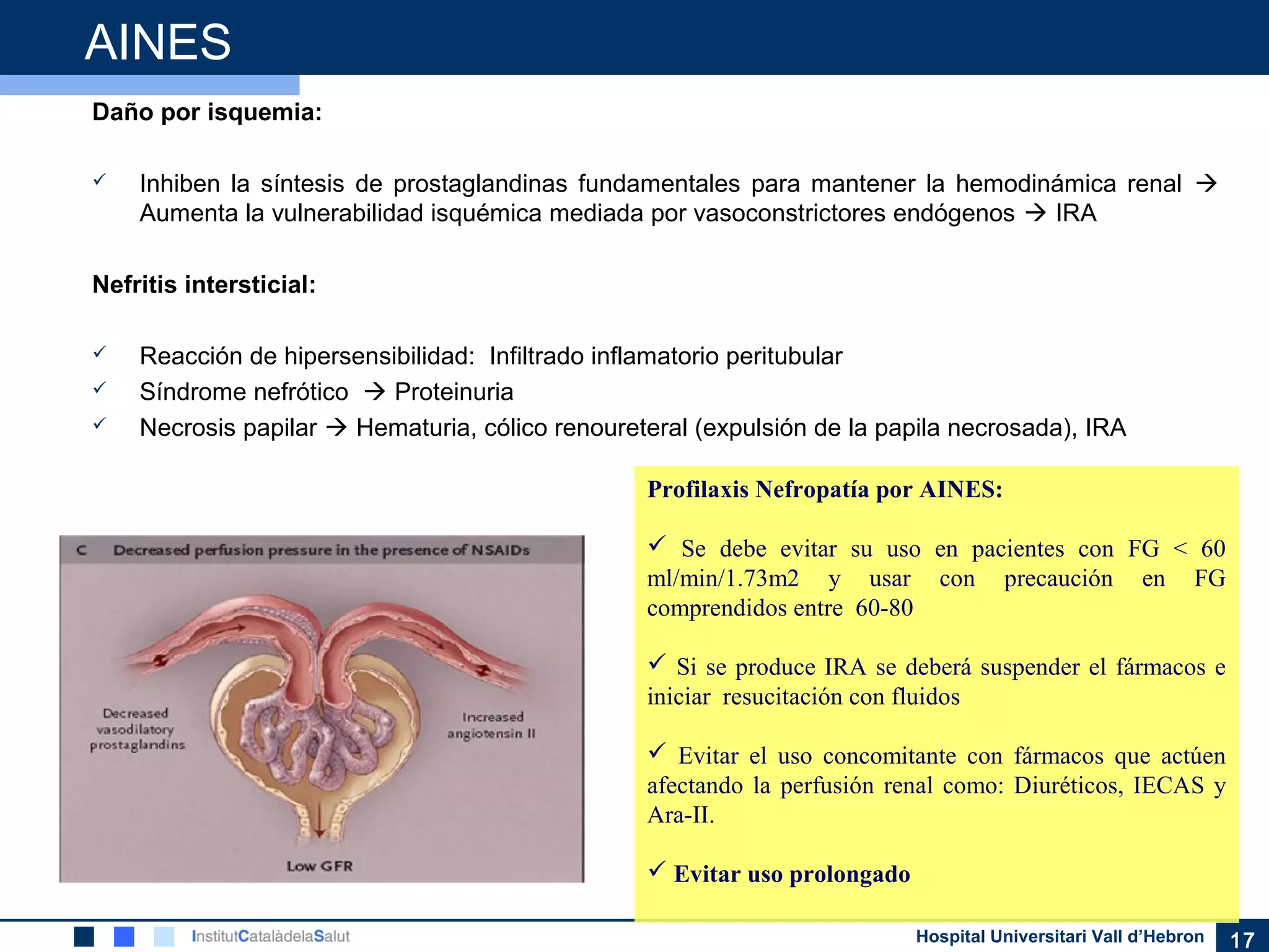 Nefrotoxicidad inducida por medicamentos (1) | PPT