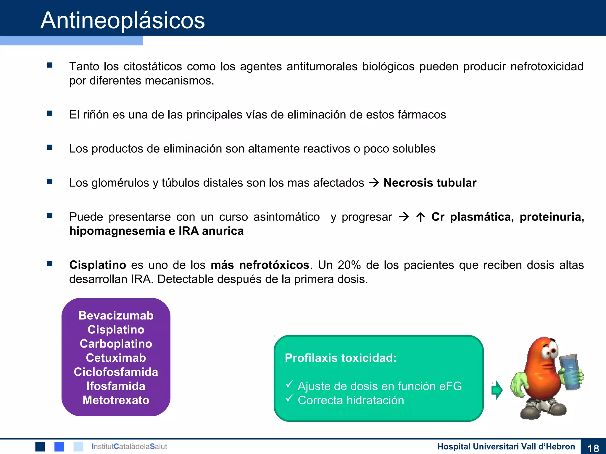Nefrotoxicidad inducida por medicamentos (1) | PPT