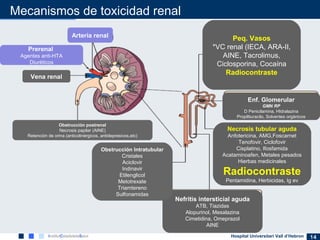 Nefrotoxicidad inducida por medicamentos (1) | PPT