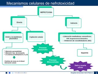 Nefrotoxicidad inducida por medicamentos (1) | PPT