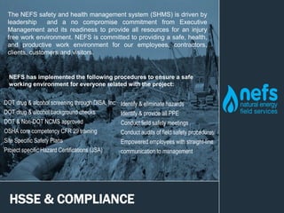 Natural Energy Field Services | PPT