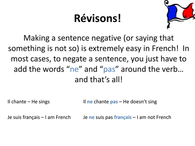 Negation Expressions in French | PPTX