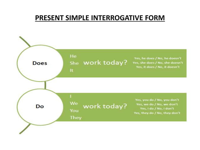 Negative and interrogative form simple present | PPTX