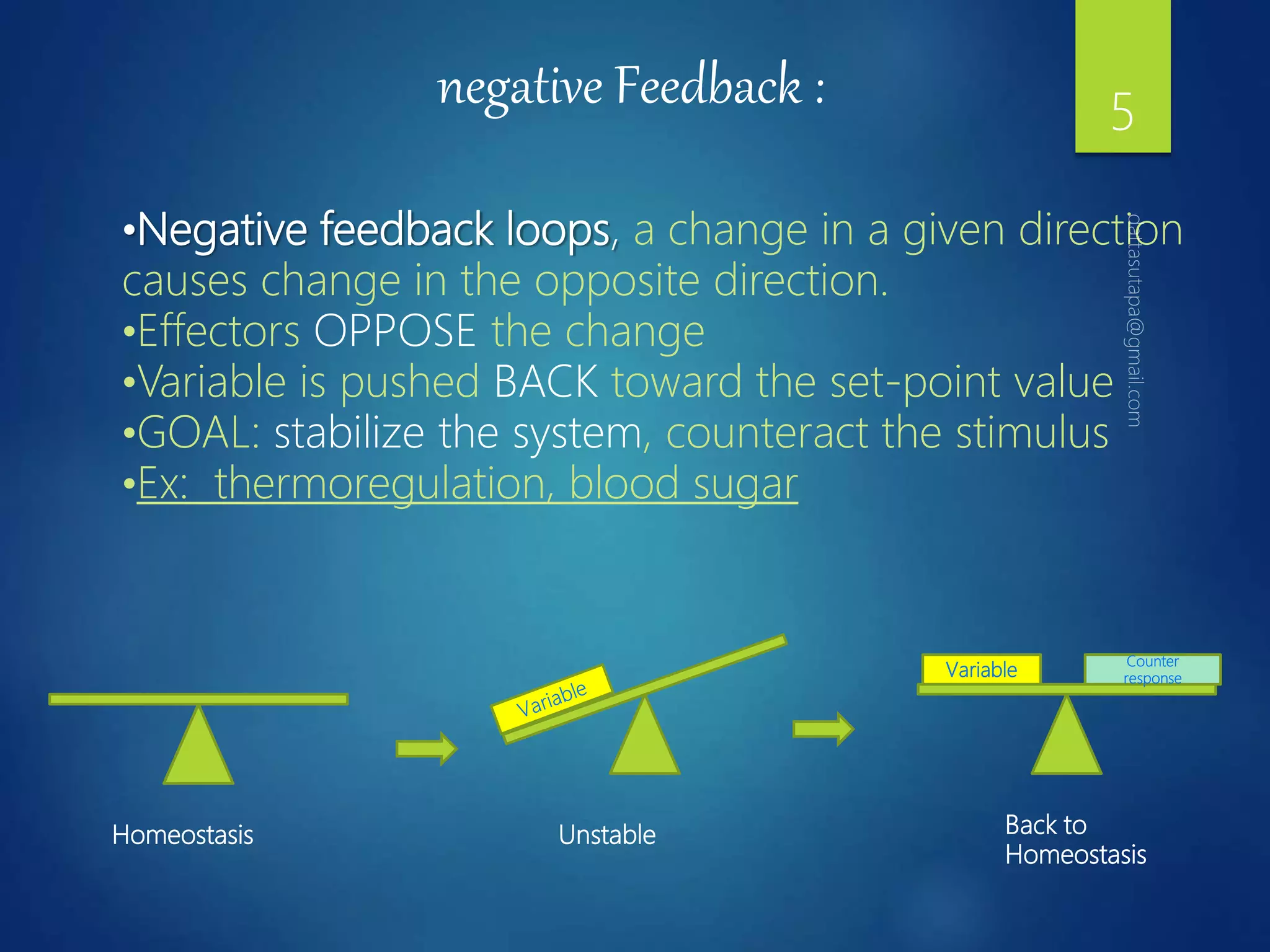 Negative feedback loops | PPTX
