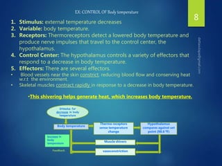 Negative feedback loops | PPTX