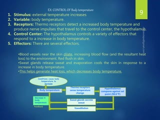 Negative feedback loops | PPTX