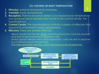 Negative feedback loops | PDF