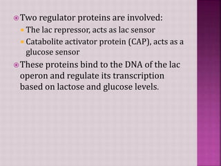 Negative gene regulation | PPTX