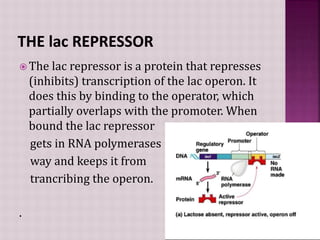 Negative gene regulation | PPTX